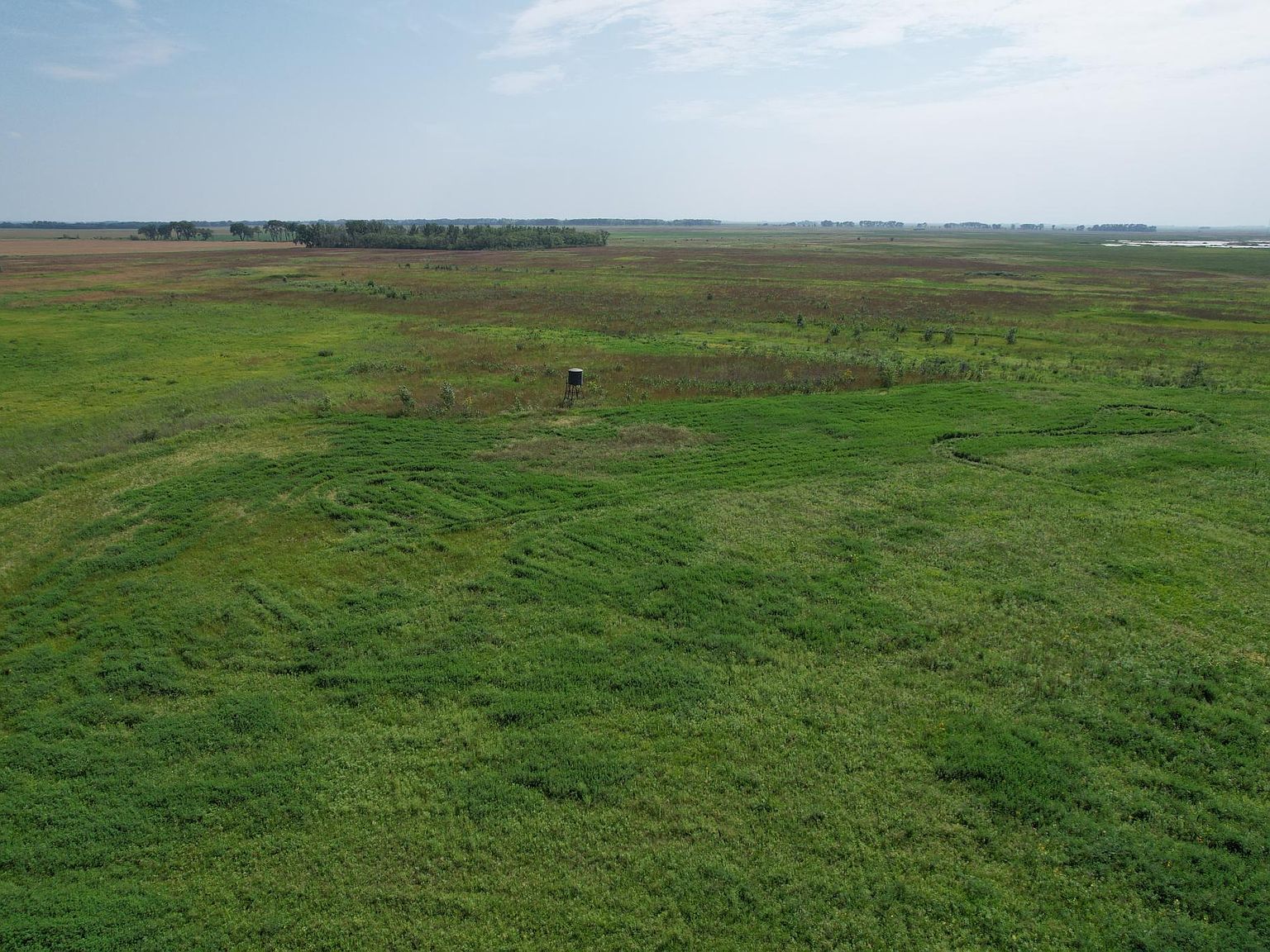 County Road 26, Rothsay, MN 56579 | MLS #6589418 | Zillow