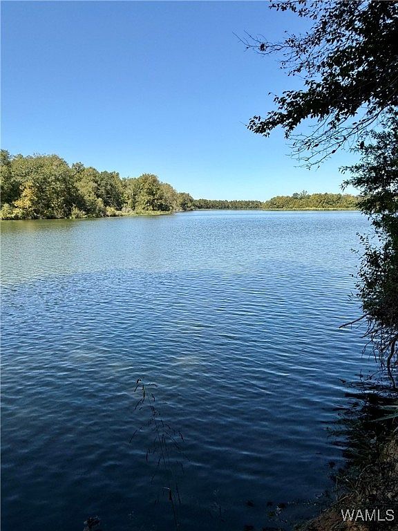 3 Cypress Point Dr, Akron, AL 35441 | MLS #165183 | Zillow