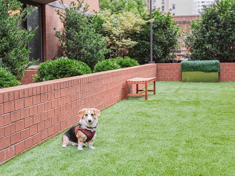 The Serrano at 1735 York Avenue in Yorkville : Sales, Rentals ...