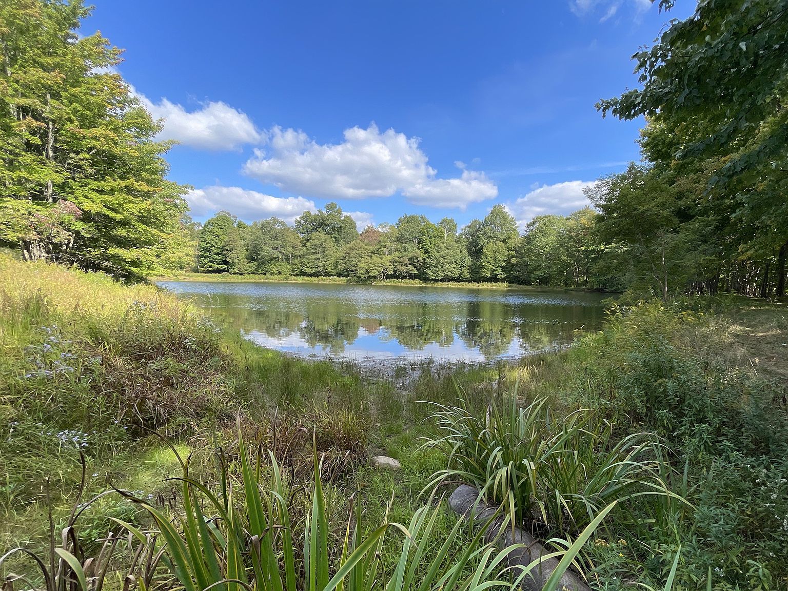 1011 Ackerman Rd, Meyersdale, PA 15552 | Zillow