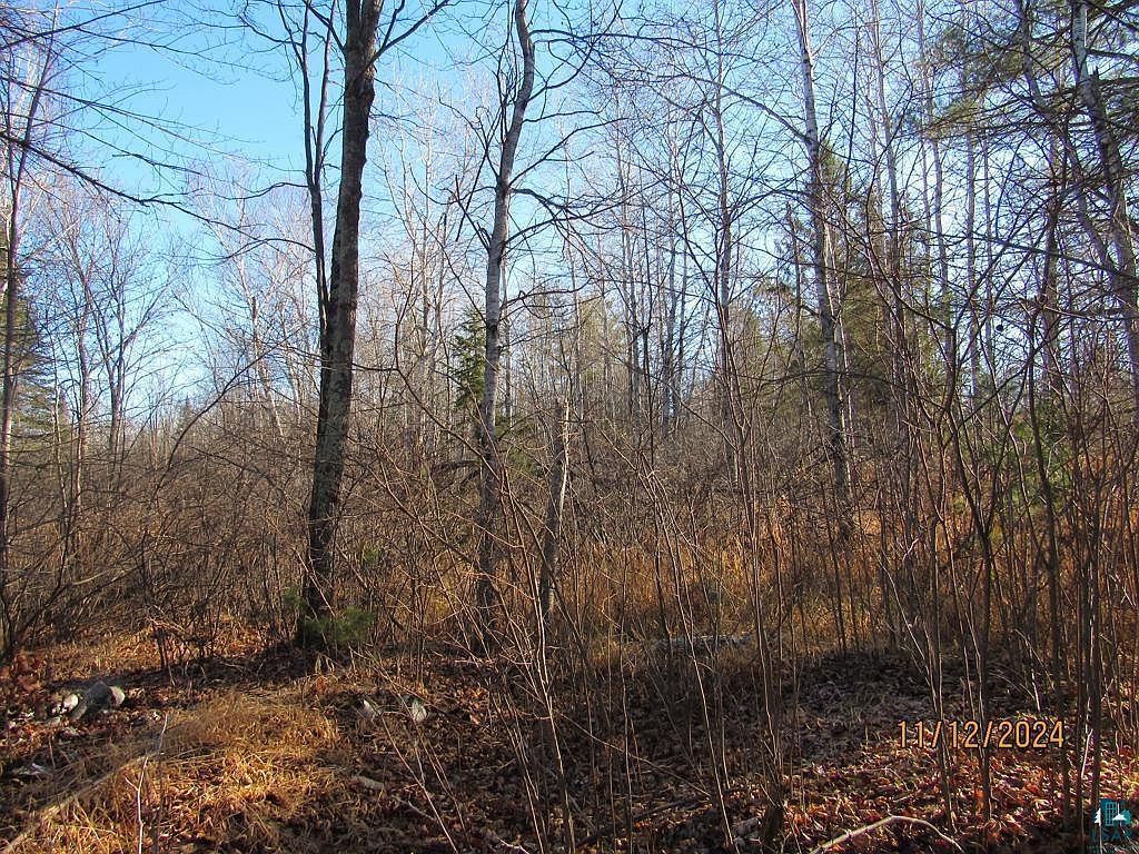 7839 E County Road M, Gordon, WI 54838 | Zillow