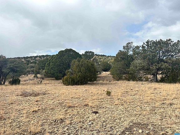 Xx Humbolt Mountain Rd, Hanover, NM 88041 | MLS #40074 | Zillow