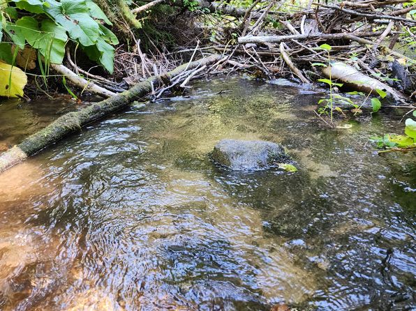 Aeneas Valley - Tonasket WA Real Estate - 18 Homes For Sale | Zillow