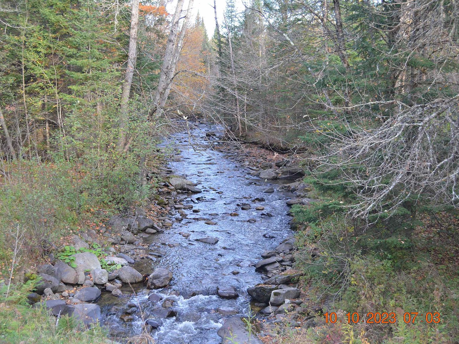 1412 Sheffield Road, Sutton, VT 05867 | Zillow