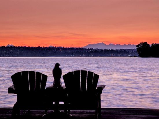 2005 Rose Point Ln, Kirkland, WA 98033 | Zillow