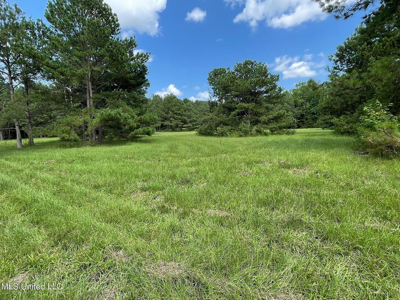 10290 County Road 4306, Union, MS 39365 | MLS #4086455 | Zillow