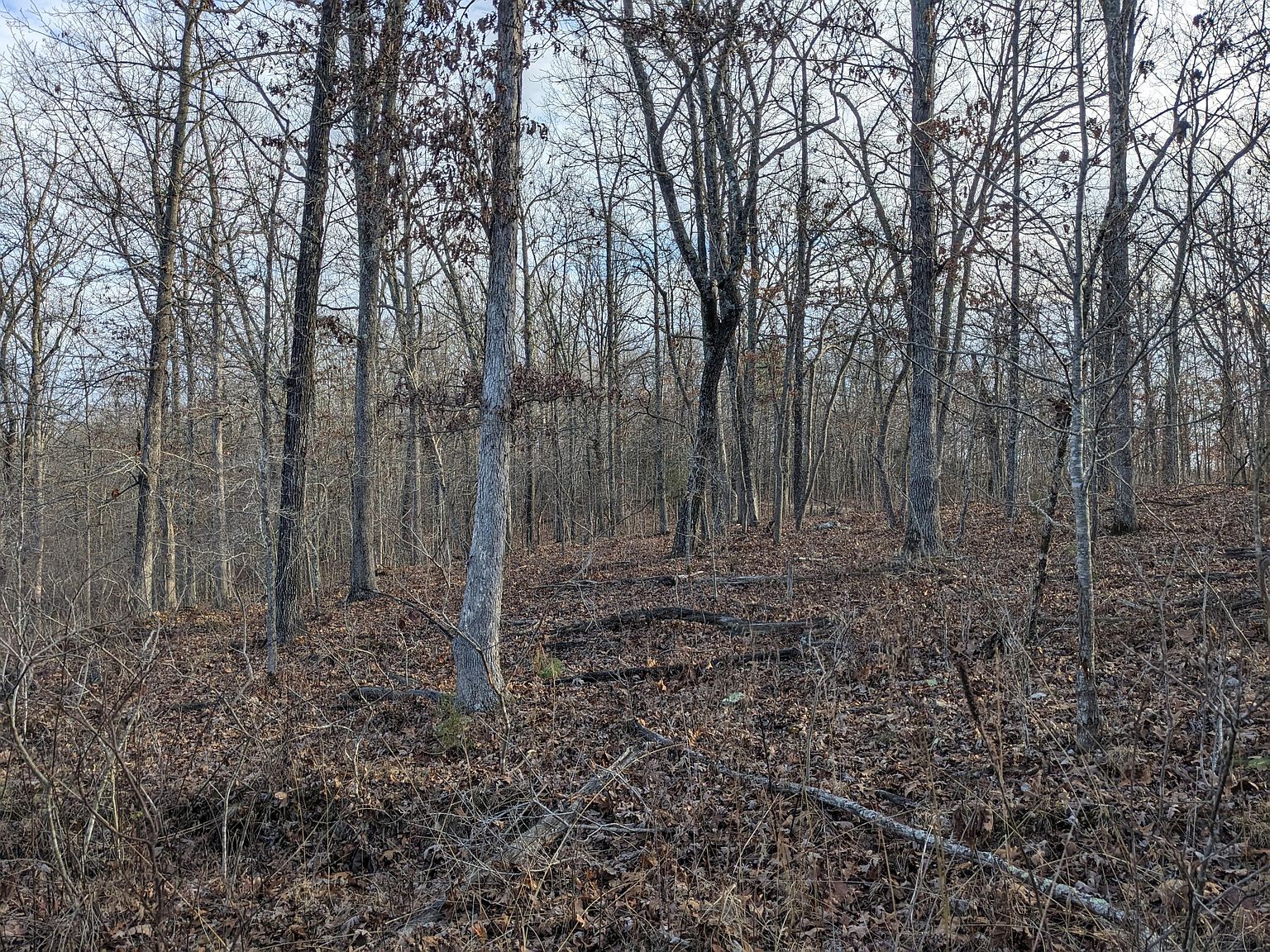 000 County Road 6285, Jadwin, MO 65501 | MLS #60284099 | Zillow