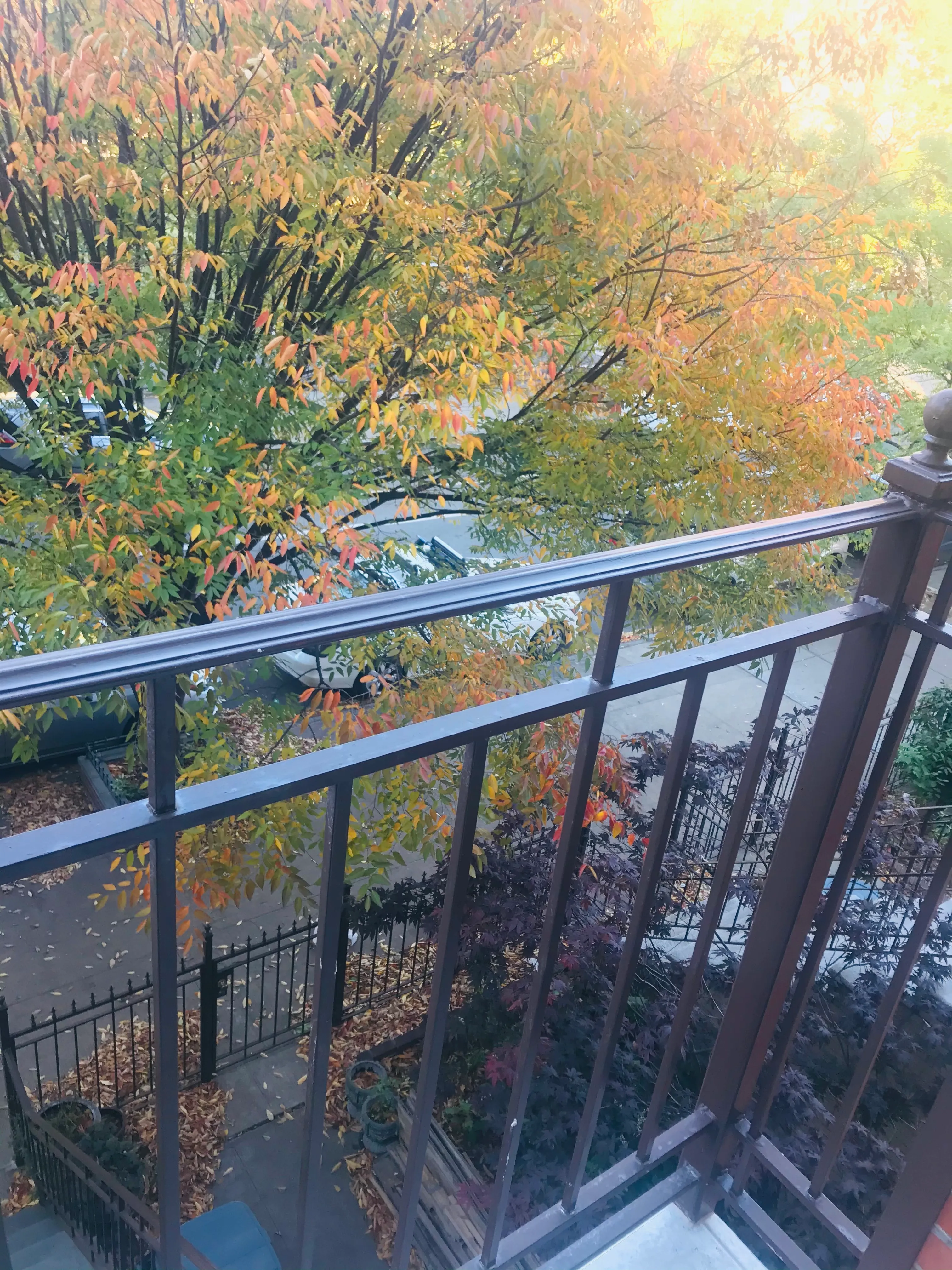 68 East 120th Street #B in South Harlem, Manhattan | StreetEasy