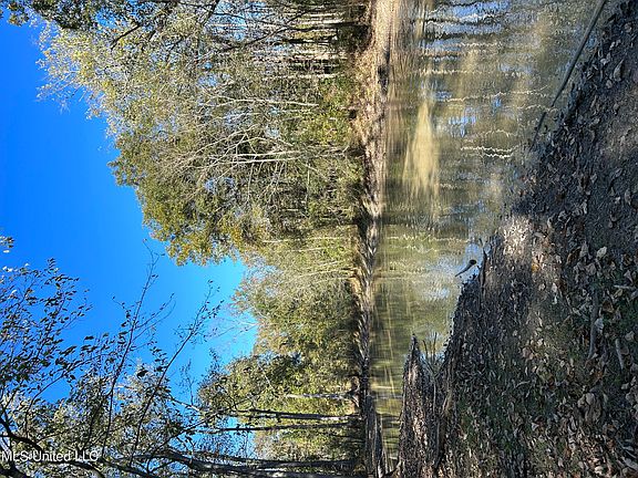 Forty Mile Bend Rd, Minter City, MS 38944 | MLS #4064594 | Zillow