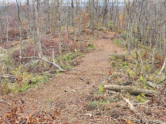 0 Beechy Rd, Lizemores, WV 25125 | MLS #267647 | Zillow