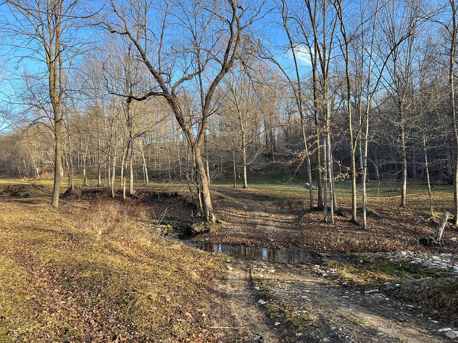 Dry Hollow Rd, Waterville, IA 52170 | MLS #11263800 | Zillow
