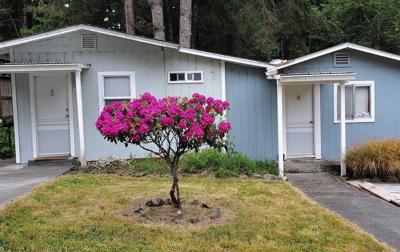 4611 Central Ave #3, Mckinleyville, CA 95519 | Zillow