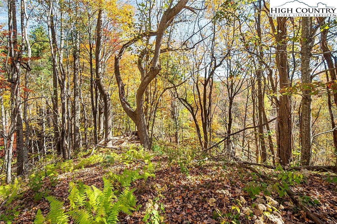 TBD Monroe Herman #3 Road, Banner Elk, NC 28604 | MLS #258719 | Zillow