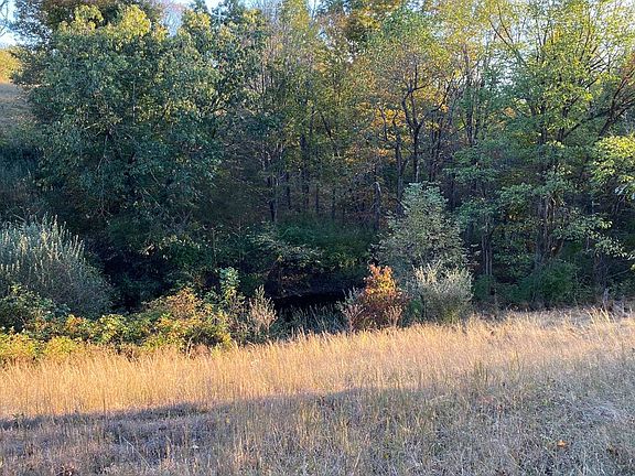 4787 Sassafras Ridge Rd, Arnoldsburg, WV 25234 | Zillow