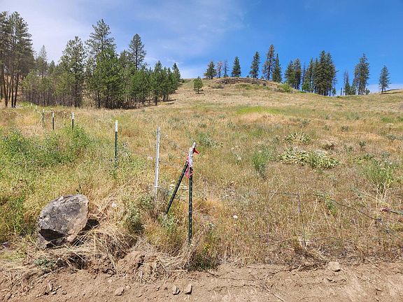 31XYZ Hawk Creek Ranch Rd N, Davenport, WA 99122 | MLS #202319565 | Zillow