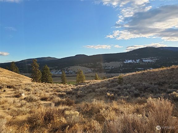 0 Lot 1 SR 20 & Aeneas Valley Road, Tonasket, WA 98855 | MLS #2128147 ...