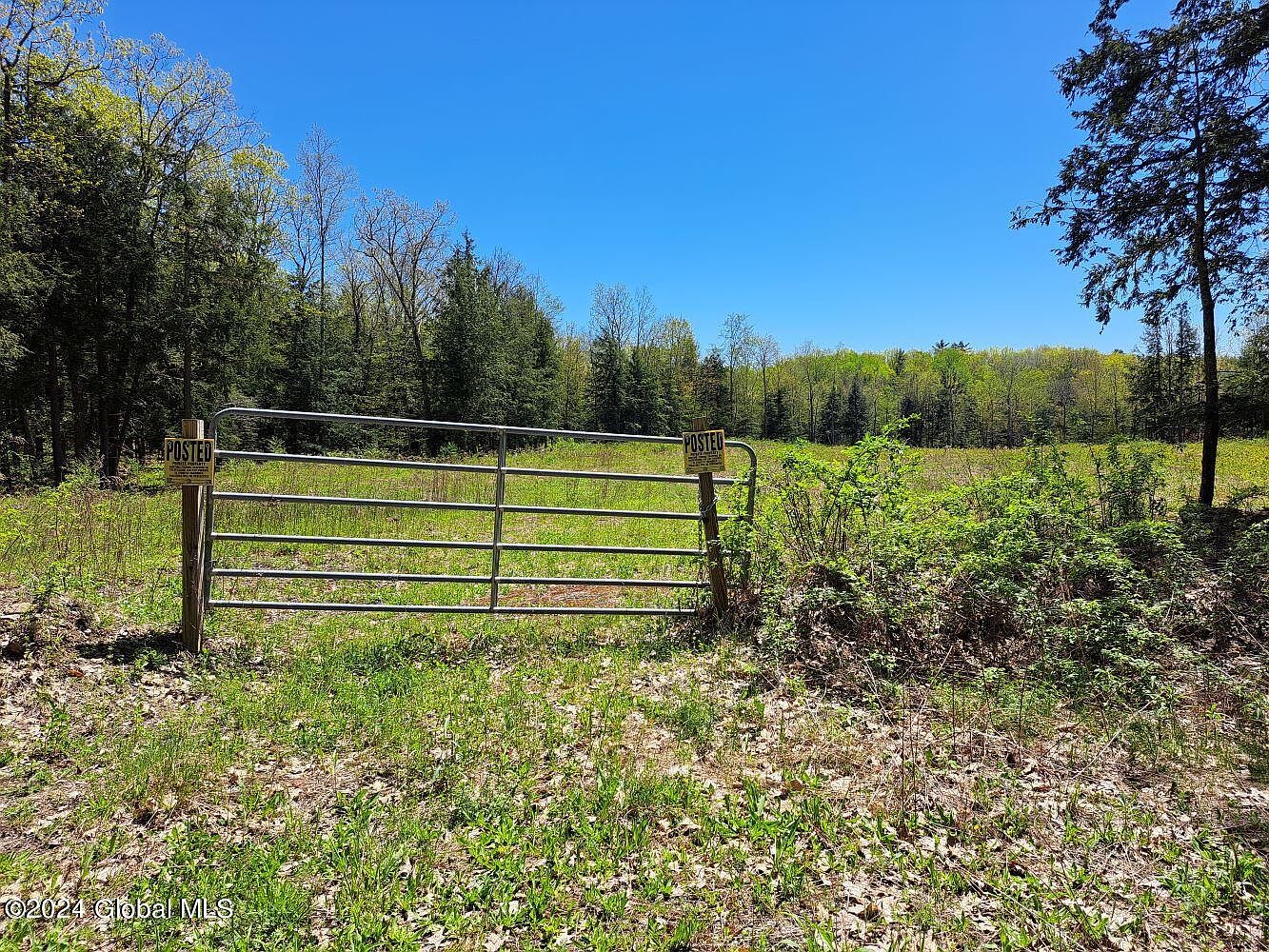 L 3.11 Longwoods Road, Buskirk, NY 12028 | Zillow