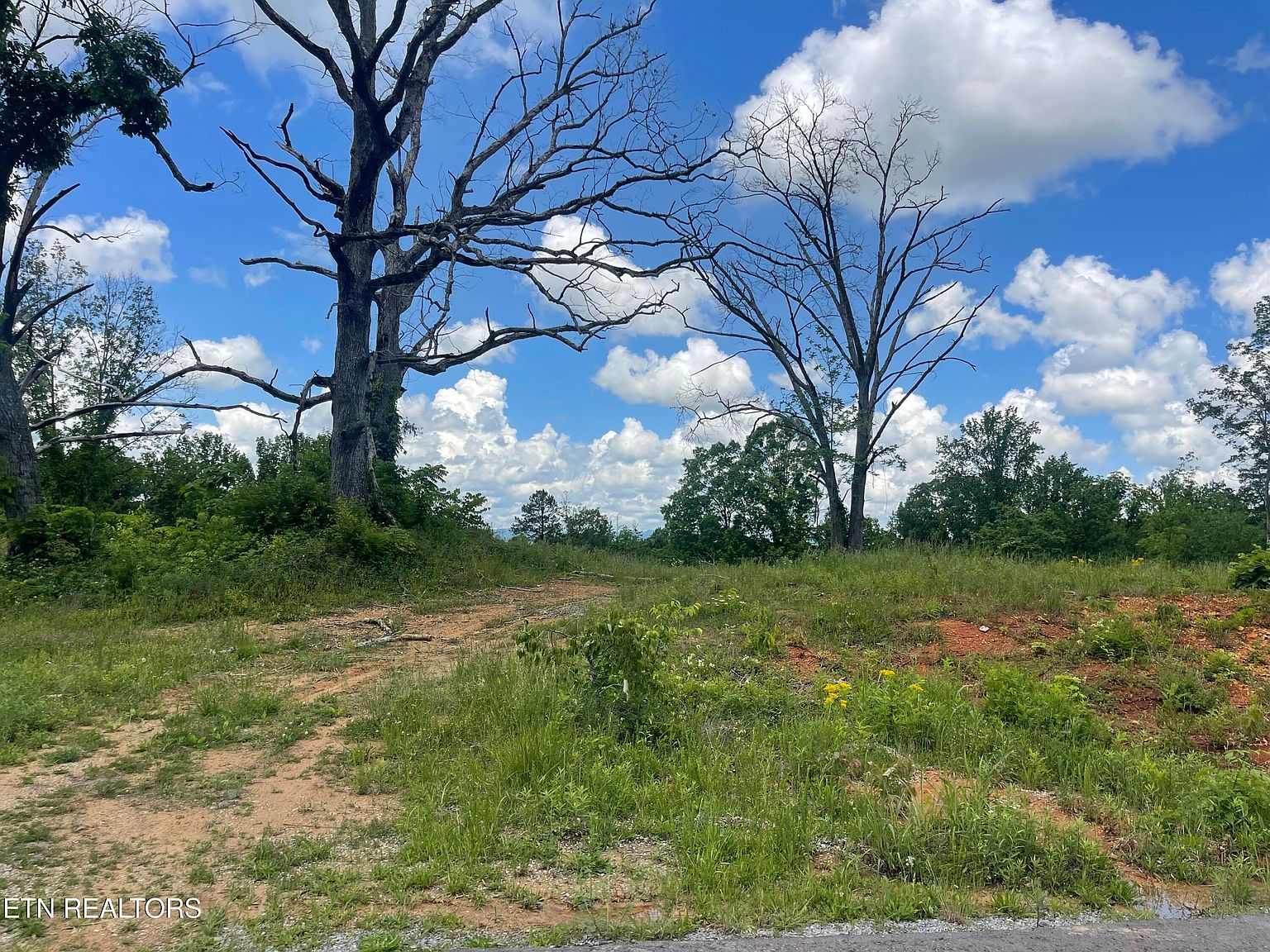 LOT 11 Laura Boling Loop Rd, Strawberry Plains, TN 37871 | Zillow