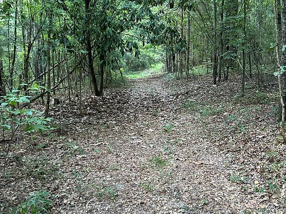 0 Quail Tower Rd, Rutledge, AL 36071 | MLS #11322436 | Zillow