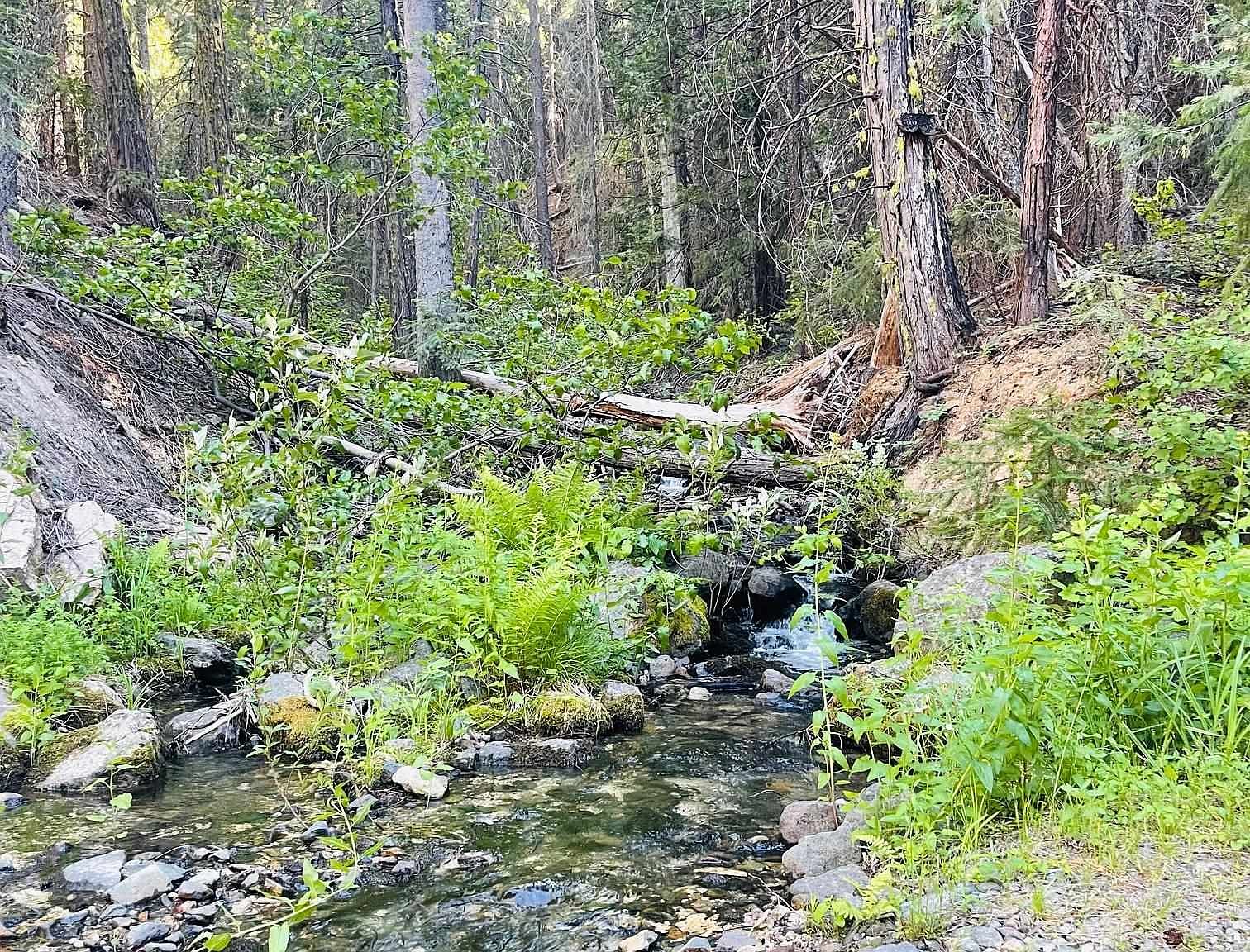 3050 Water Way, Blairsden Graeagle, CA 96103 | MLS #20250657 | Zillow