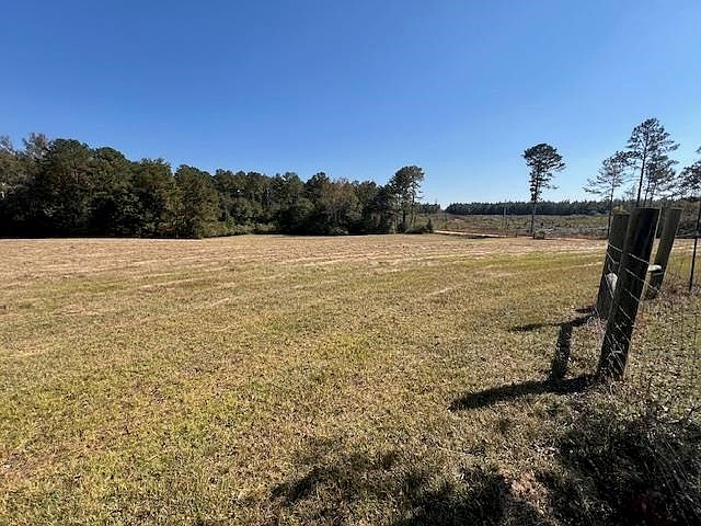 2124AC Union Grove Rd, Opp, AL 36467 | MLS #24741 | Zillow