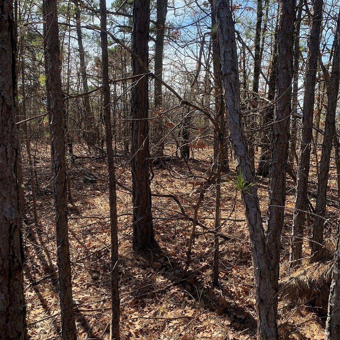 SE Highway 82, Red Oak, OK 74563 | MLS #2427335 | Zillow