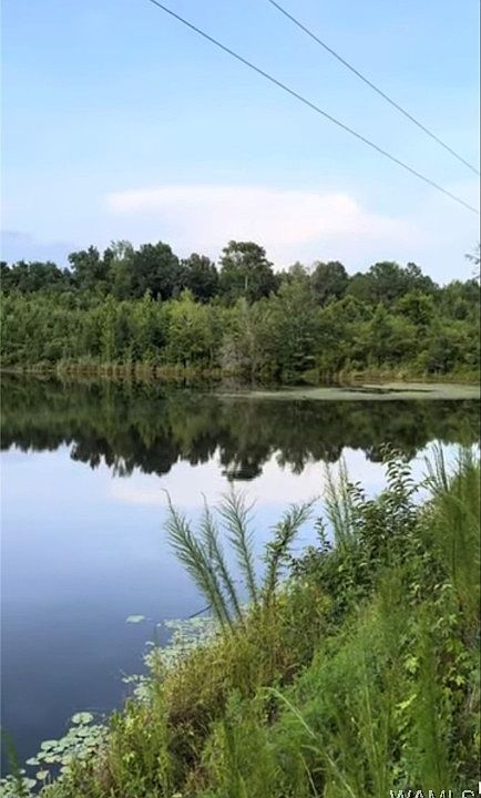 0 State Highway 51, Greensboro, AL 36744 | MLS #170030 | Zillow