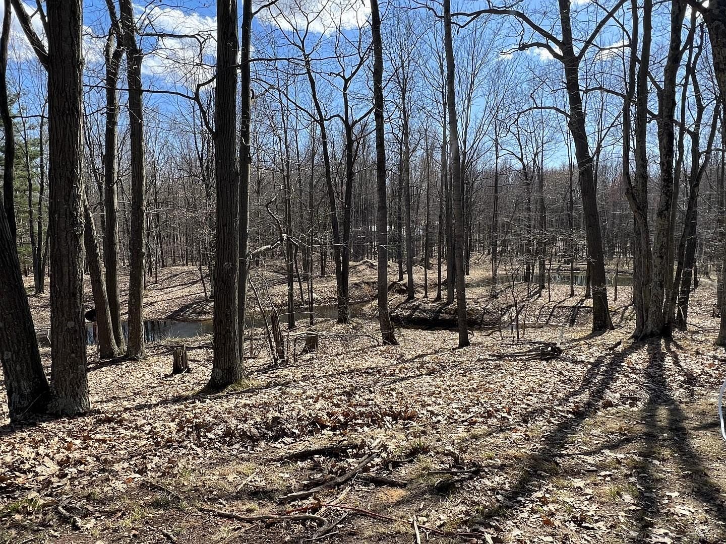 2002 Klender Rd, Bentley, MI 48613 | Zillow