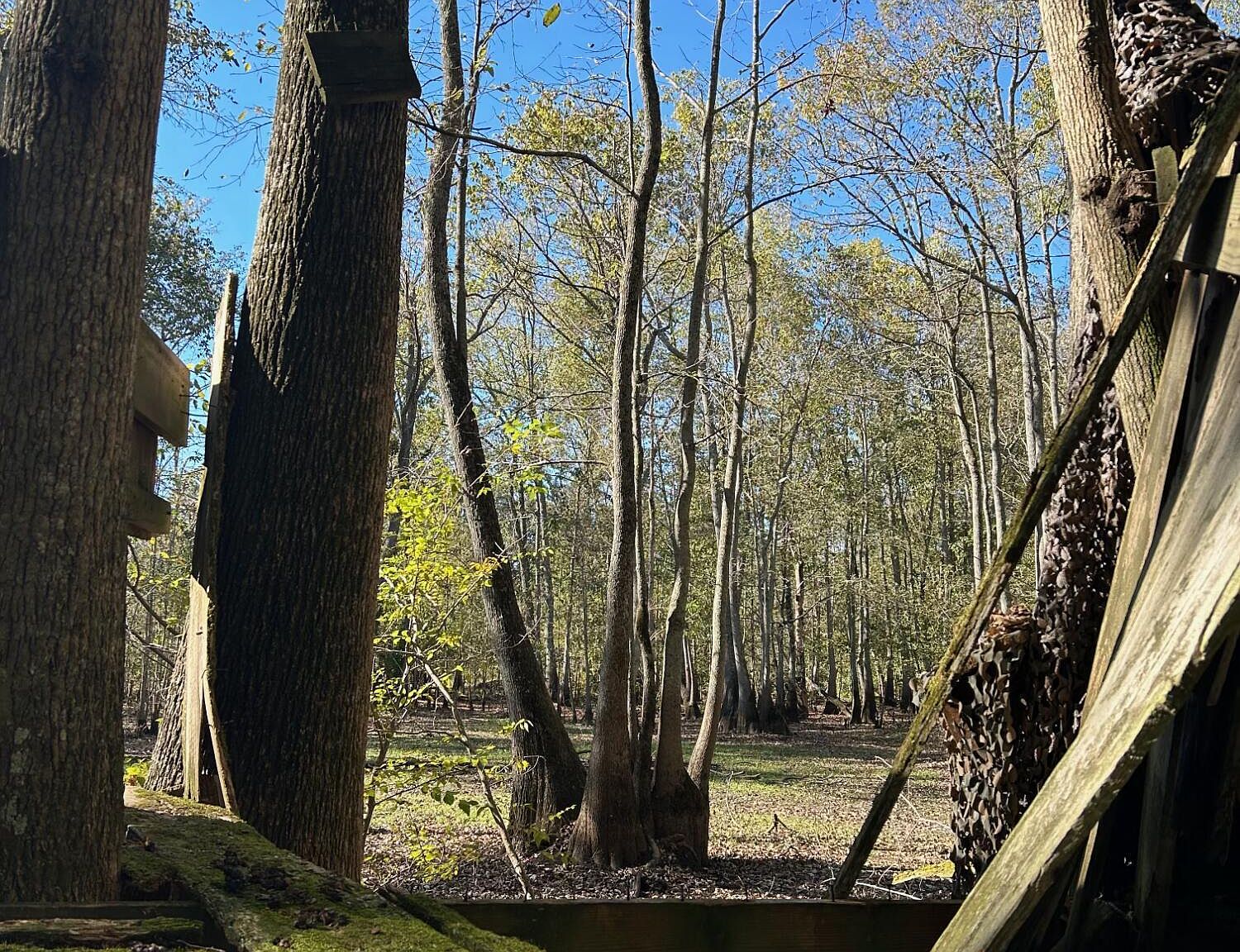 Forty Mile Bend Rd, Minter City, MS 38944 | MLS #4064594 | Zillow