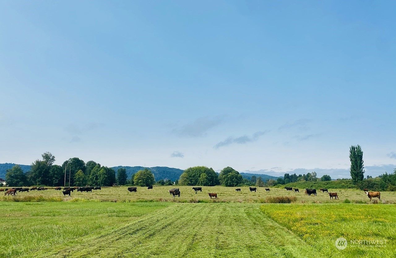 12 Hay Way, Cathlamet, WA 98612 | MLS #NWM2015627 | Zillow