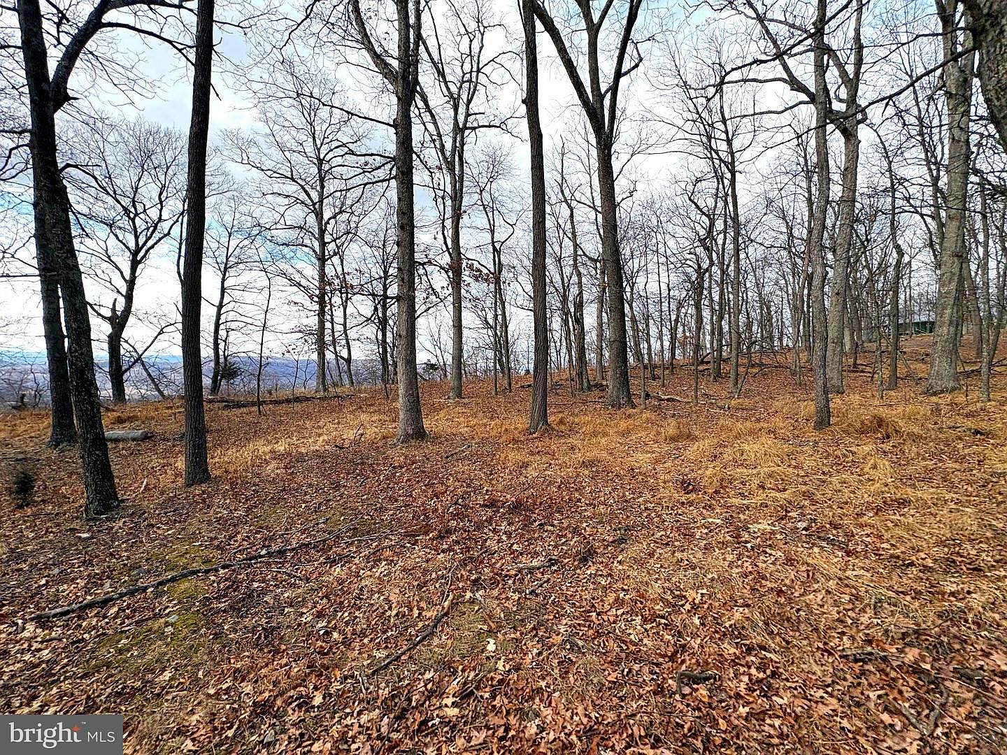 2780 High Knob Rd, Old Fields, WV 26845 | Zillow