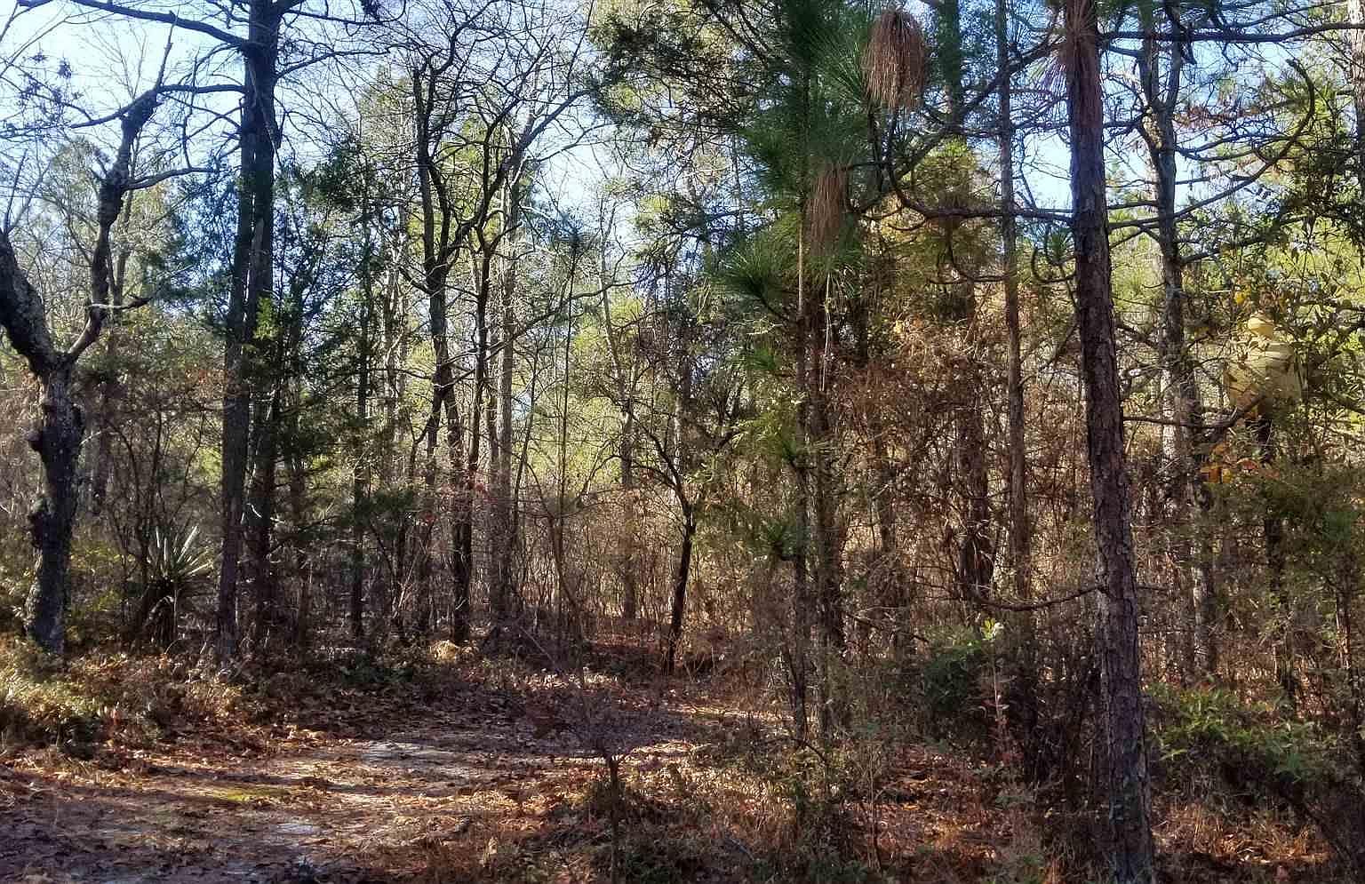356B Kyzer Rd, Lexington, SC 29073 | Zillow