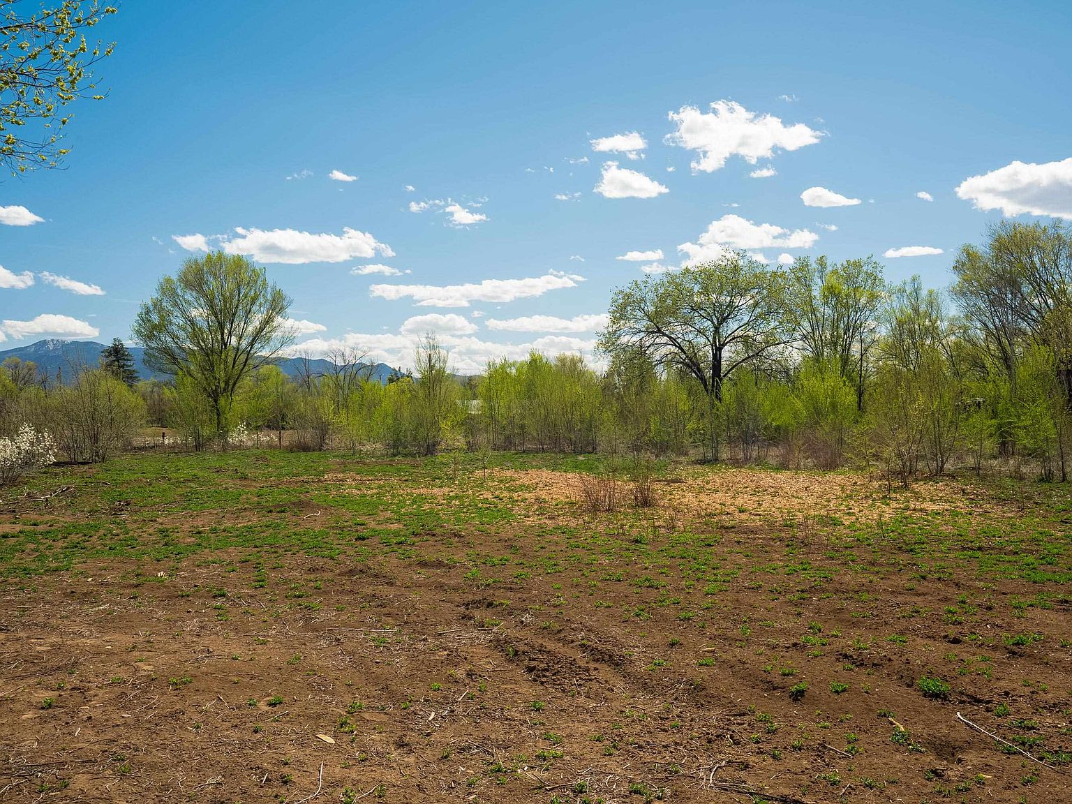 426 Gomez Ranch Rd, Taos, NM 87571 | MLS #111666 | Zillow