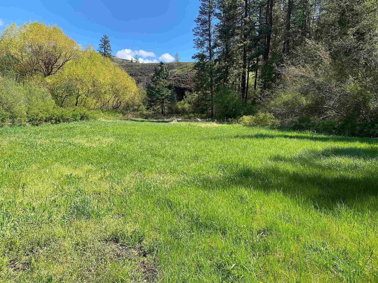 32890 Hawk Creek Ranch Rd N, Davenport, WA 99122 | Zillow