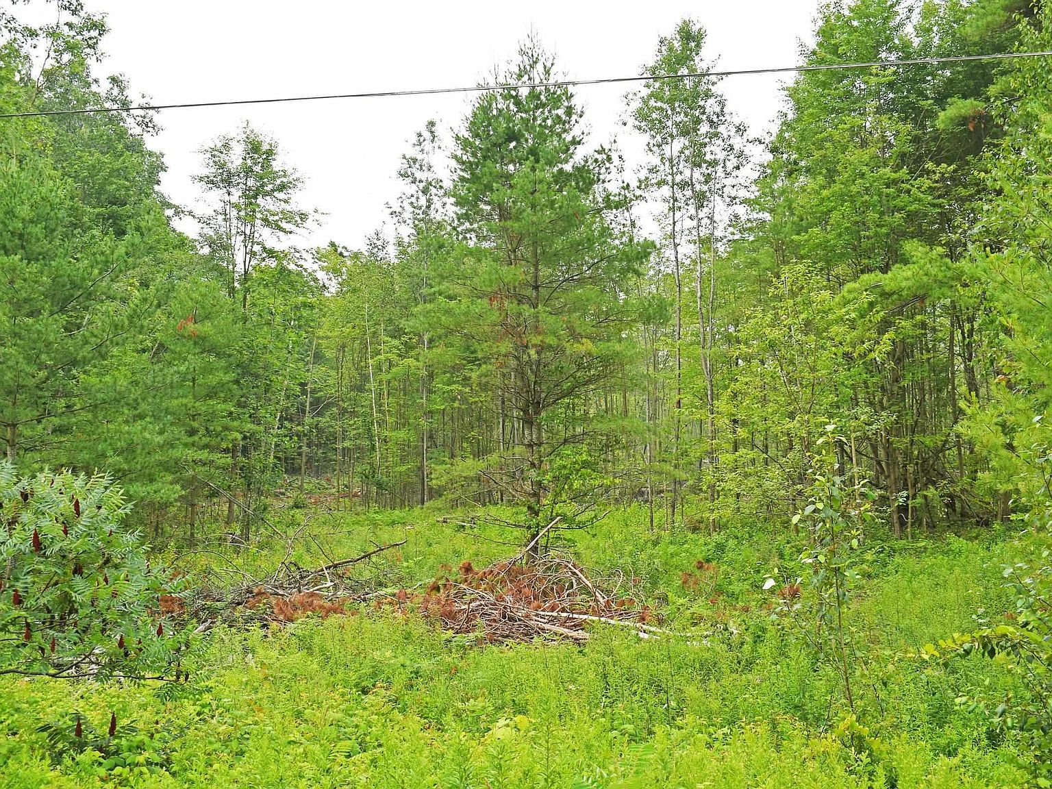 PARCEL H F #30, Greenbush, MI 48738 | MLS #1914045 | Zillow