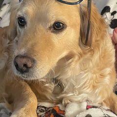 Kim Pape - Real Estate Agent in Santa Clarita, CA - Reviews | Zillow