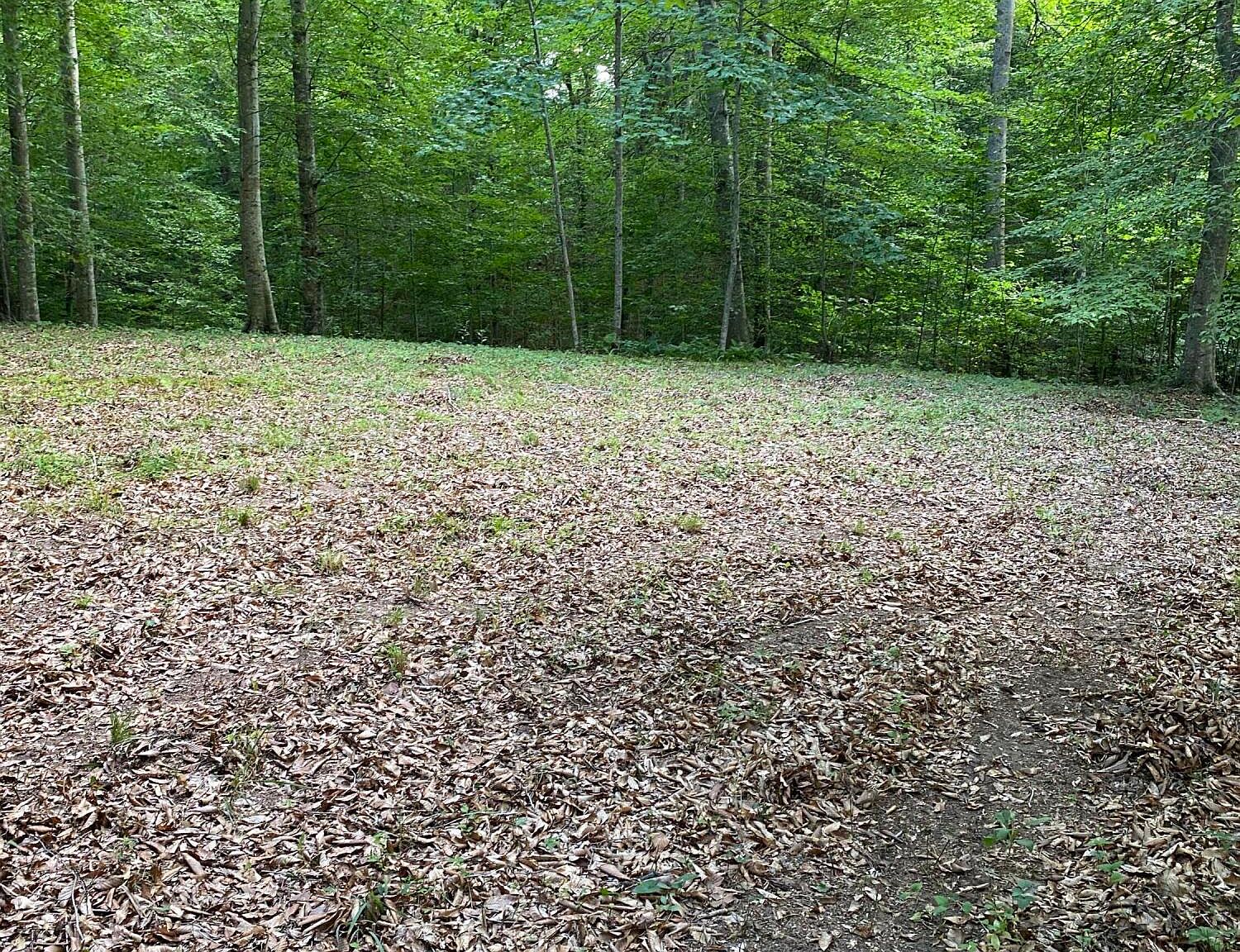 99 Hopper Creek Rd, London, KY 40744 | MLS #23014111 | Zillow