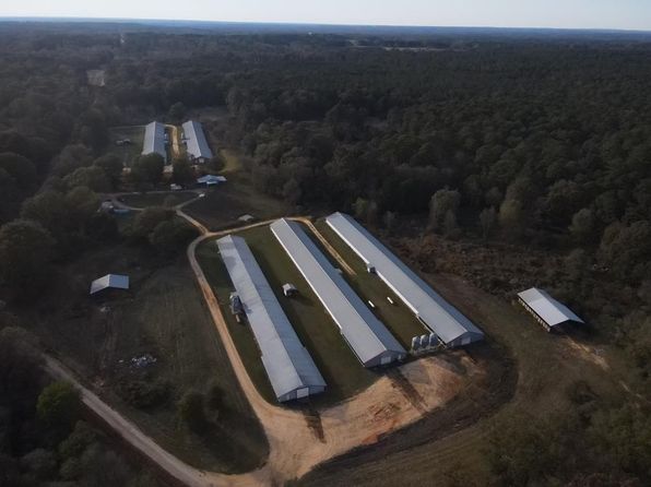 Raleigh MS Real Estate - Raleigh MS Homes For Sale | Zillow