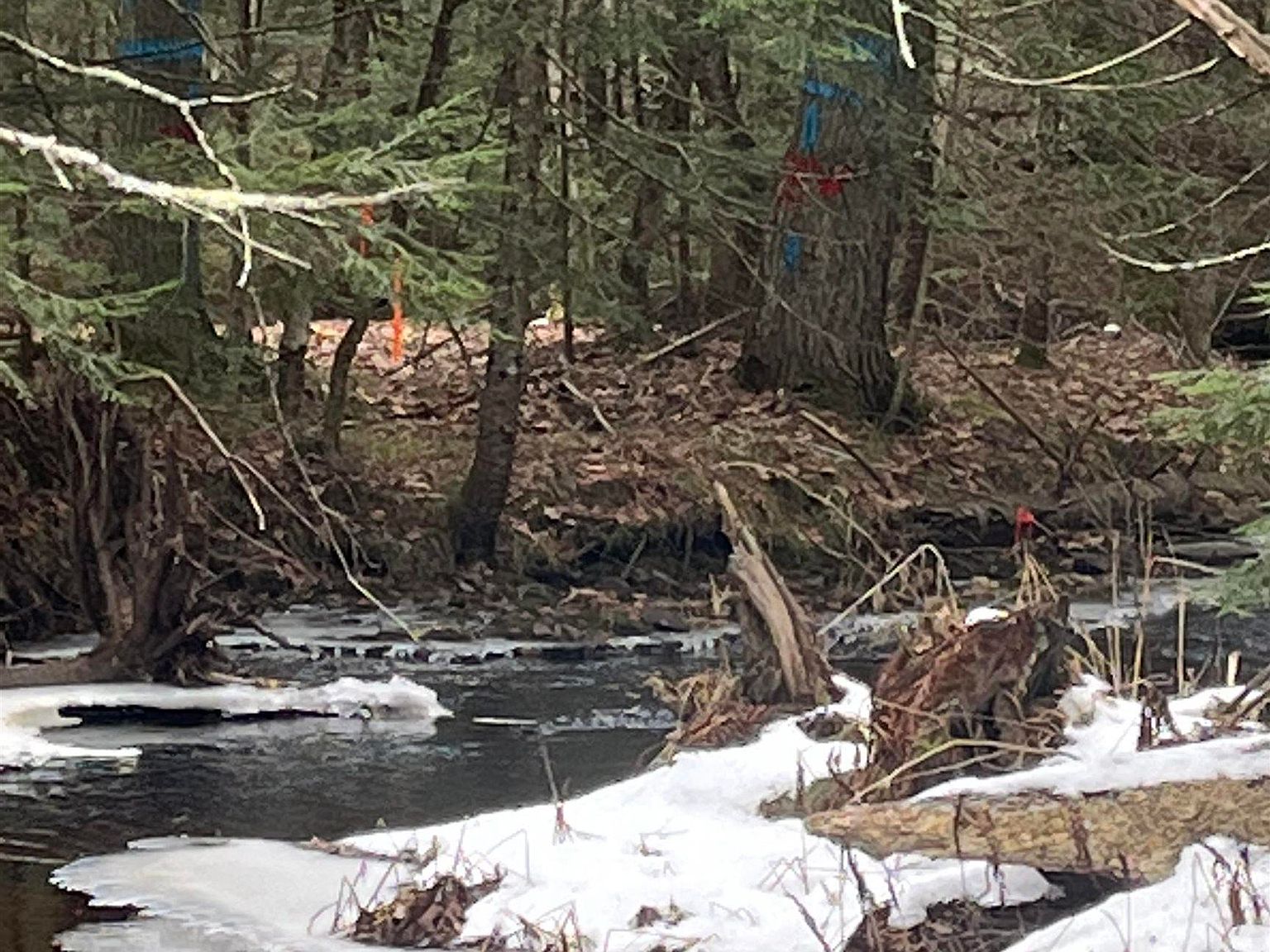 Little Lake Rd, Little Lake, MI 49833 | Zillow