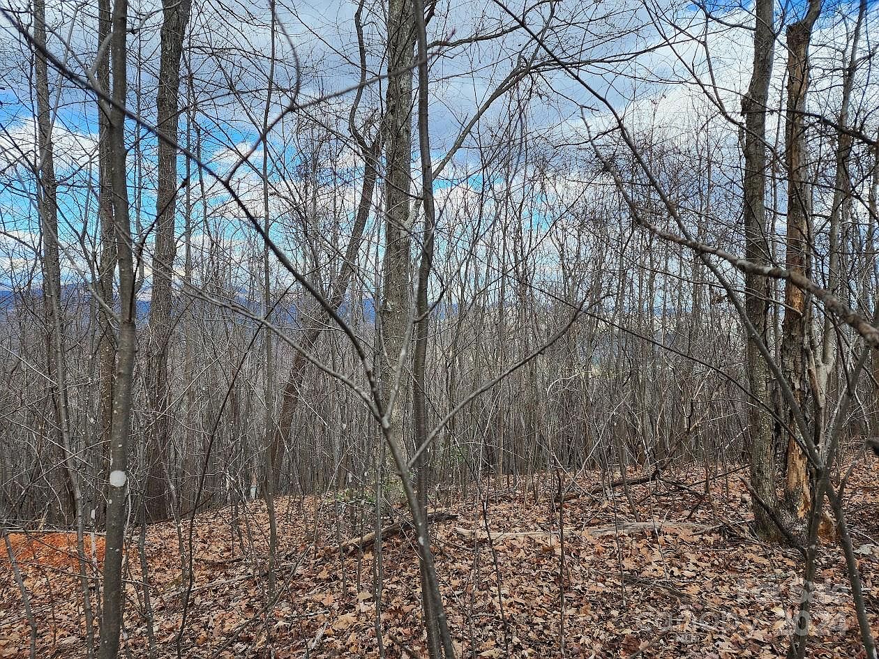 48 Peseco Dr, Bostic, NC 28018 | Zillow