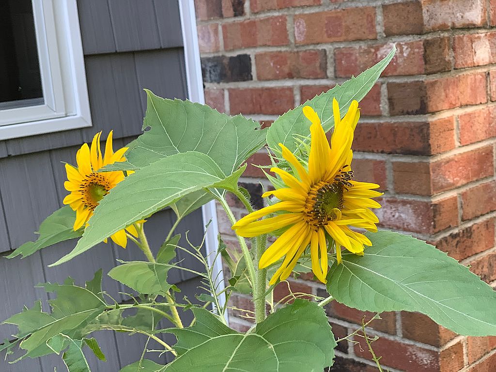 42 Arbor Rd, Monroe, CT 06468 | Zillow