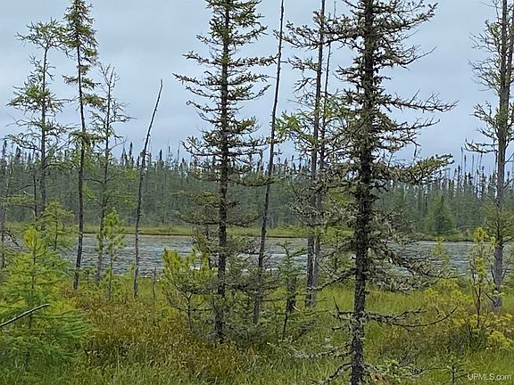 Tanglefoot Lake Co Road Ccf, Ishpeming, MI 49849 | MLS #50118420 | Zillow
