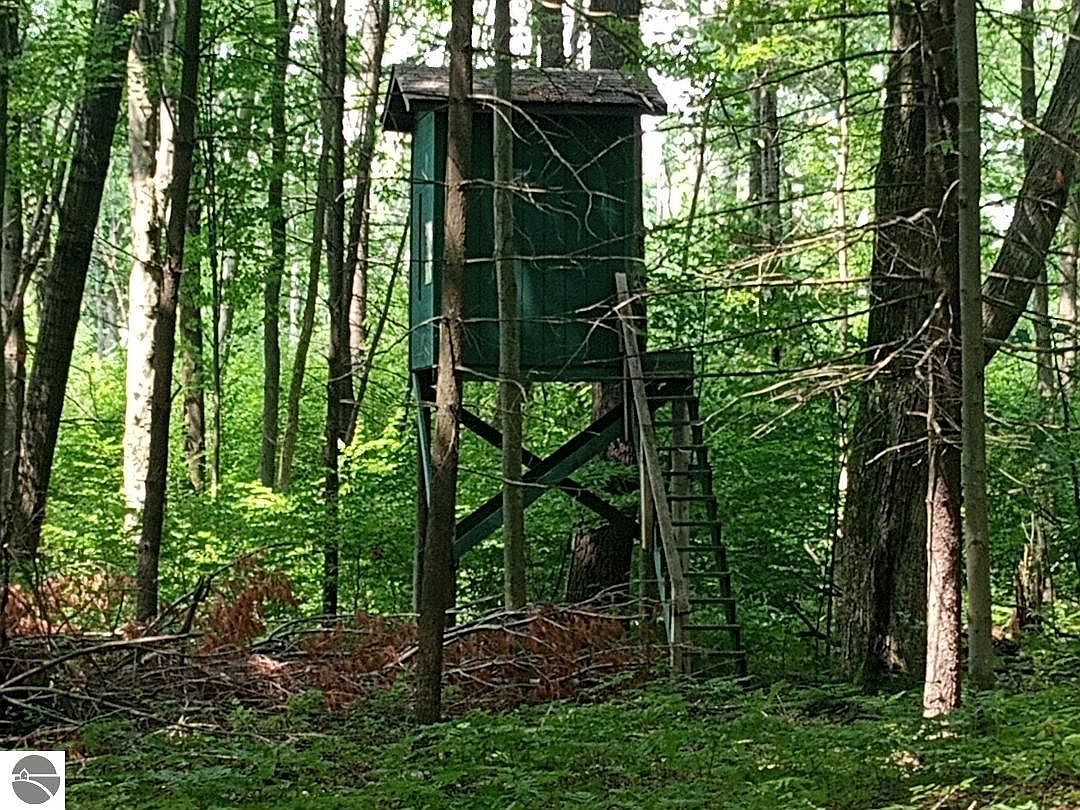 65 M, Twining, MI 48766 | Zillow