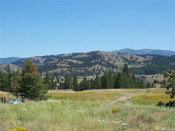 1 Dianna Dr, Republic, WA 99166 | MLS #1683073 | Zillow