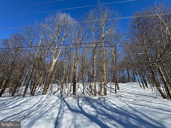 420 Scout Dam Rd, Ebensburg, PA 15931 | Zillow