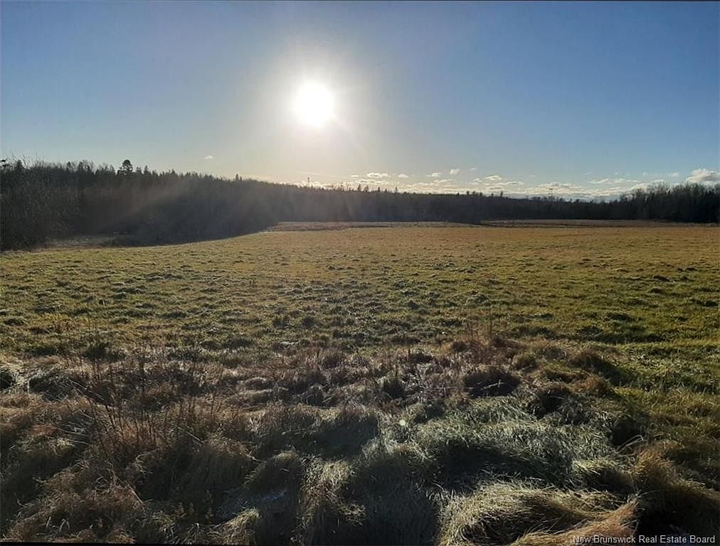 114 Reeder Rd #112, Salisbury, NB E4J 2P6 | MLS #NB117280 | Zillow