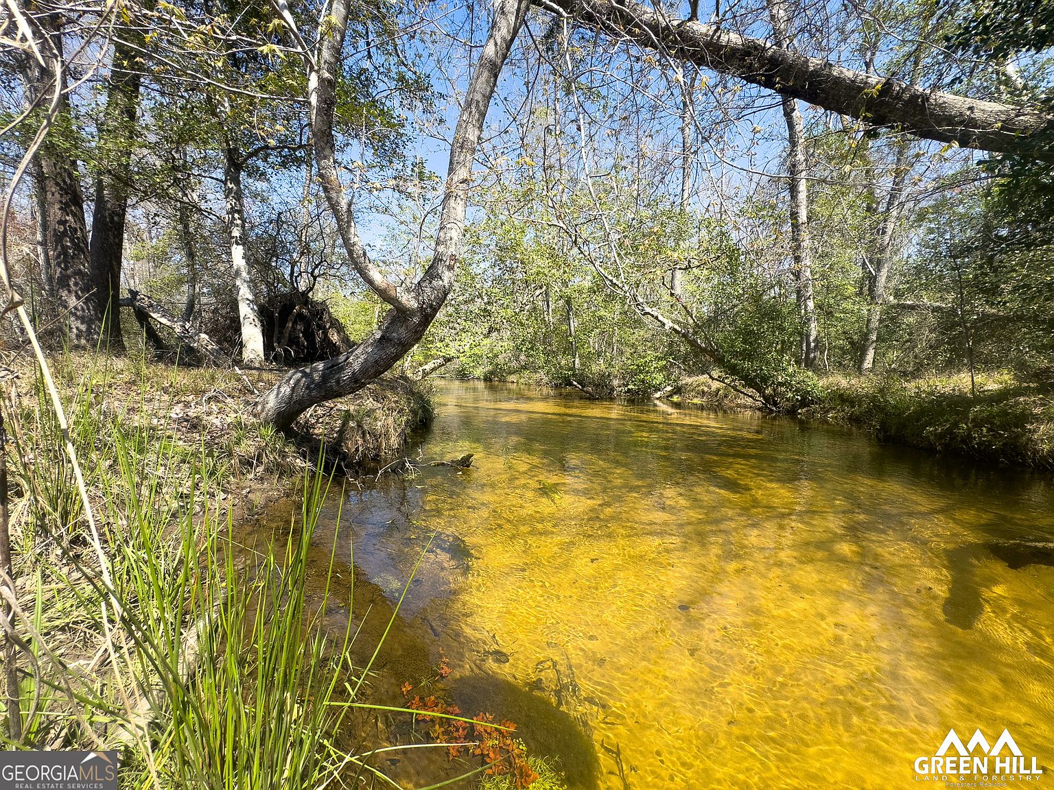 2512 Jamestown Rd, Matthews, GA 30818 | Zillow