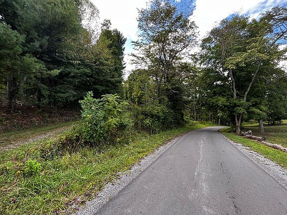 Ellison Ridge Rd, Jumping Branch, WV 25969 | Zillow
