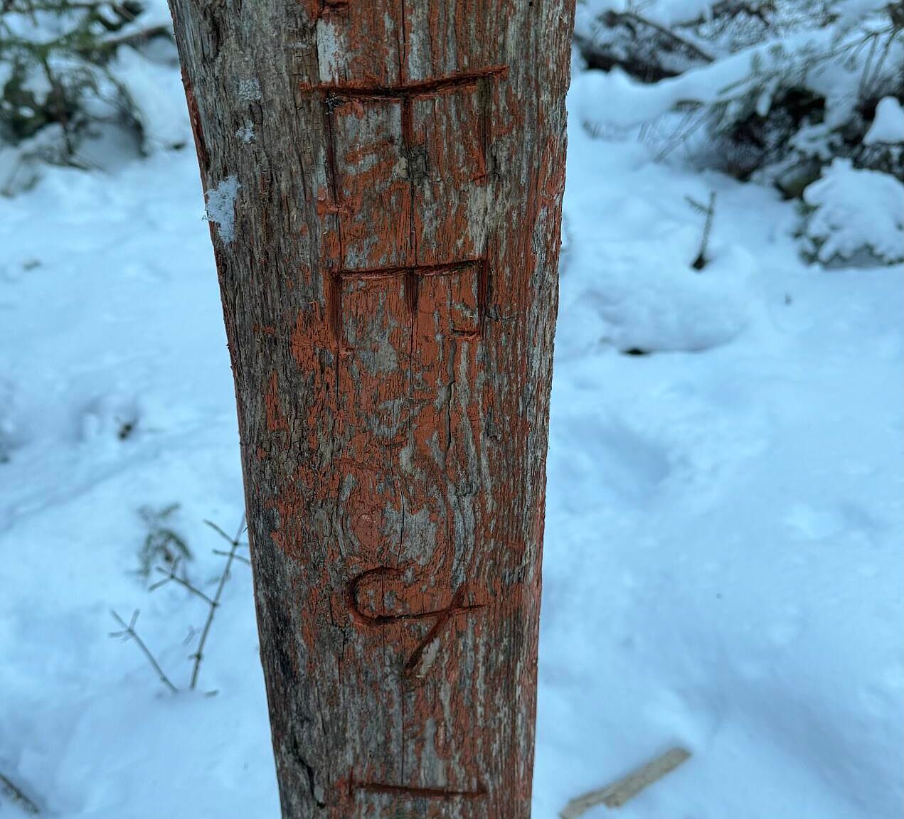 Lot 45 Off Budge Farm Road, Lee, ME 04455 | Zillow