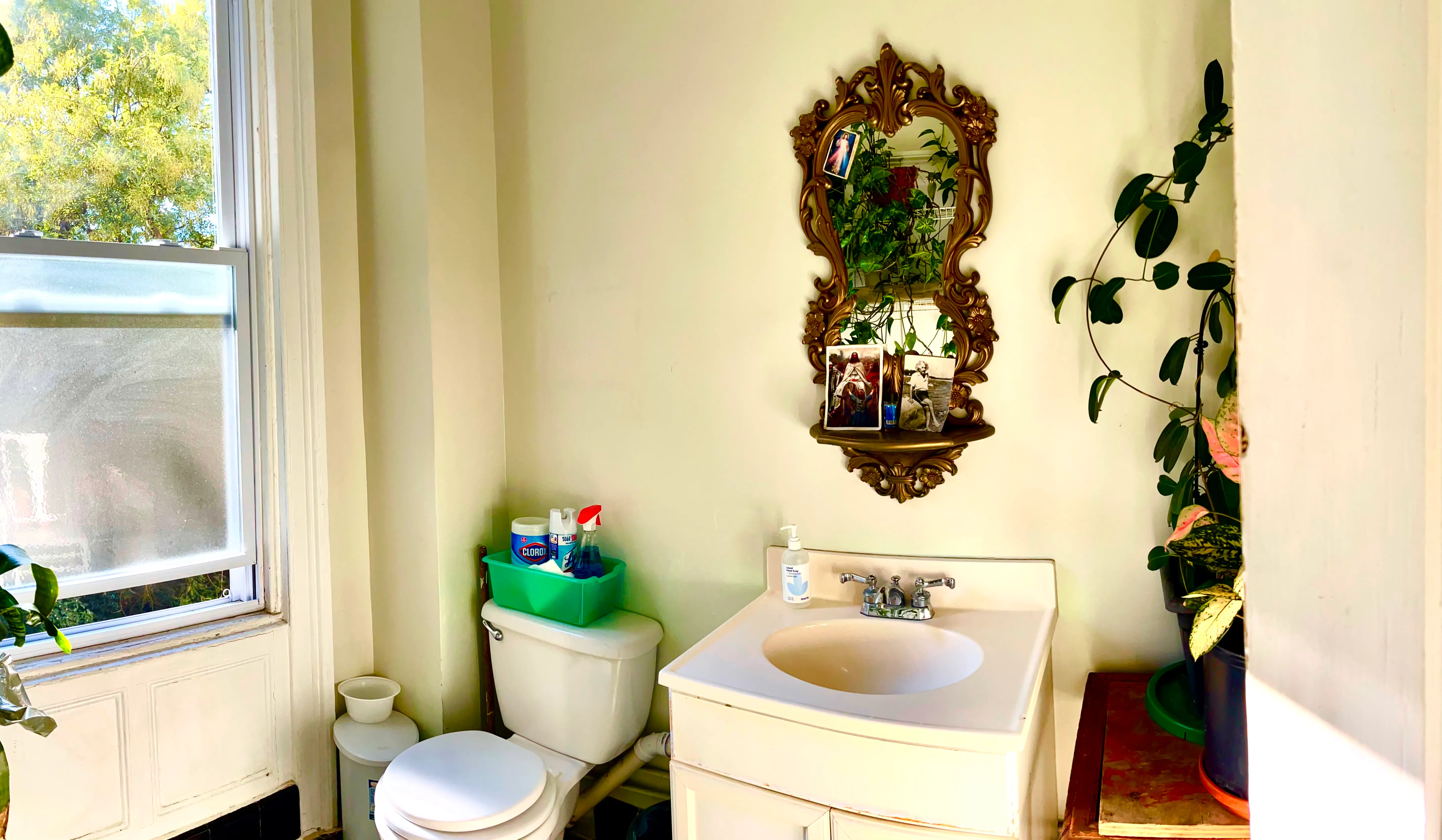 490 State Street #3 in Boerum Hill, Brooklyn | StreetEasy